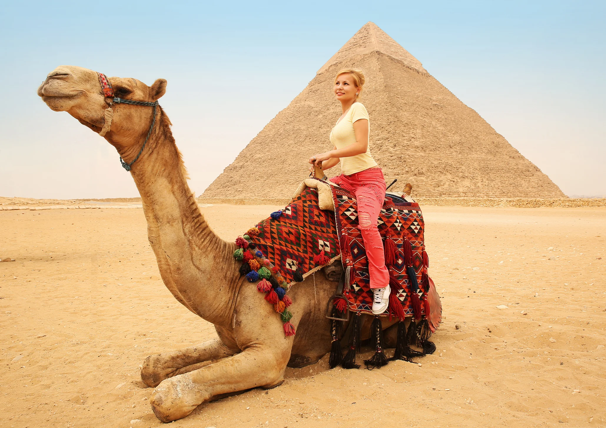 The Real Cost of a Camel in Egypt: From Rental Prices to Ethical...