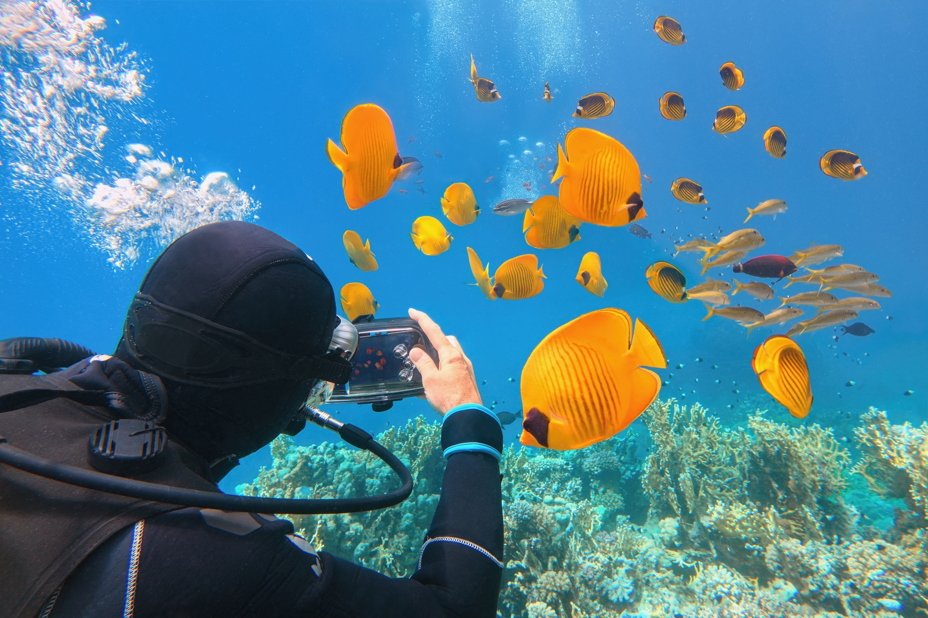 Blue Hole Dahab: Egypt's Legendary Underwater Adventure