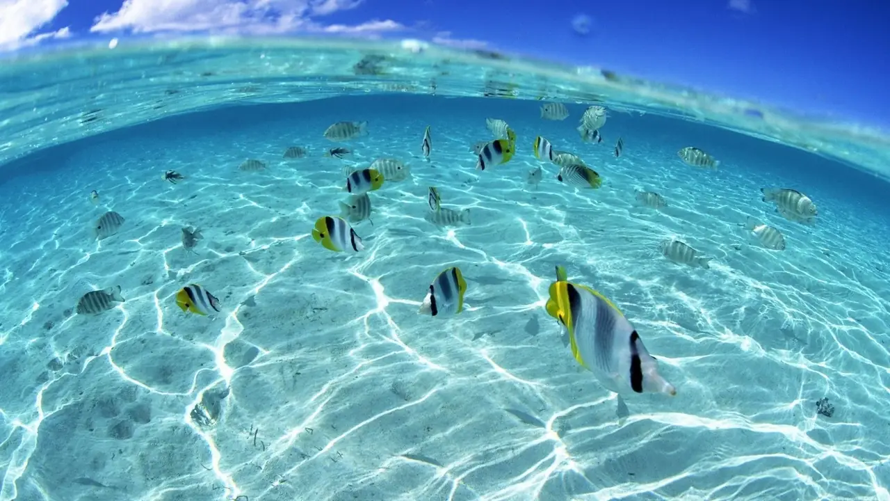 Egypt Islands 2025: Complete Guide to Best Island Tours